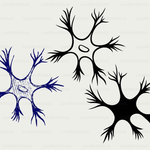 Neuron Svg - Etsy