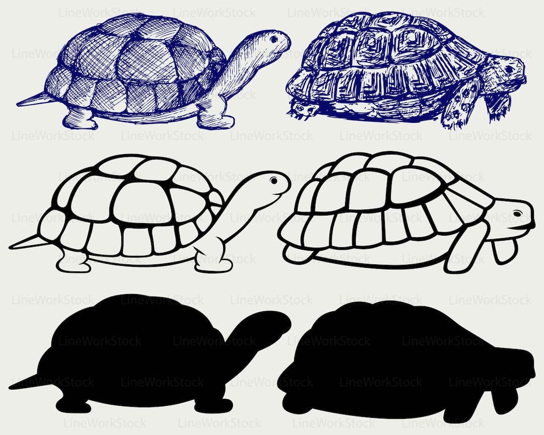 Turtle Svg/land Turtle Clipart/sea Turtle Svg/turtle Silhouette/turtle ...
