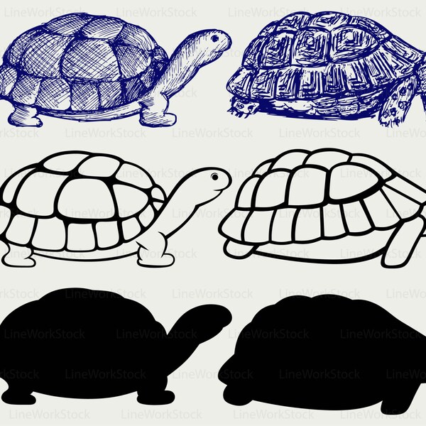 Turtle Cricut - Etsy