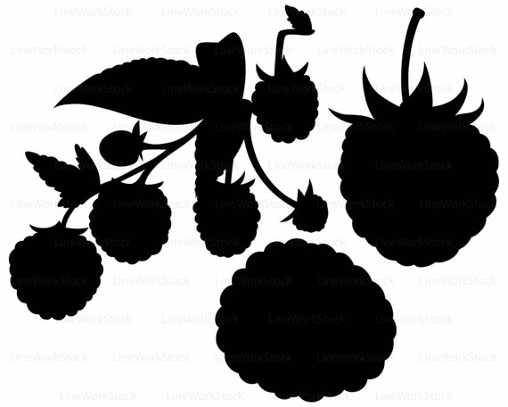 Raspberry Silhouette