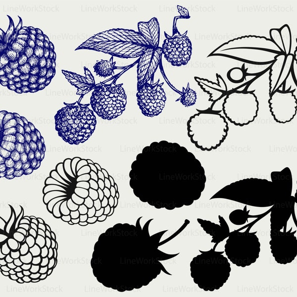 Blue Raspberry Clipart - Etsy