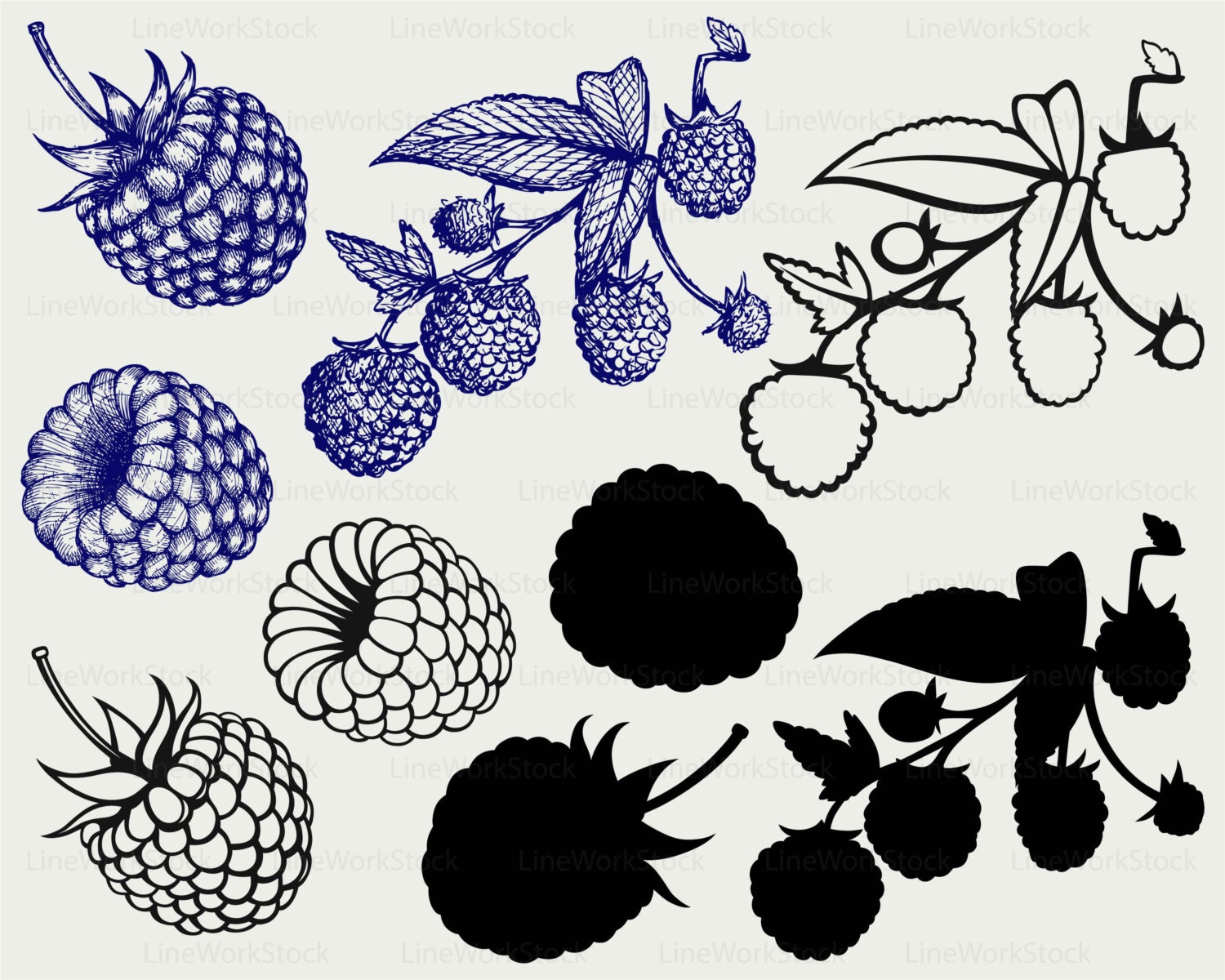 Raspberry Silhouette