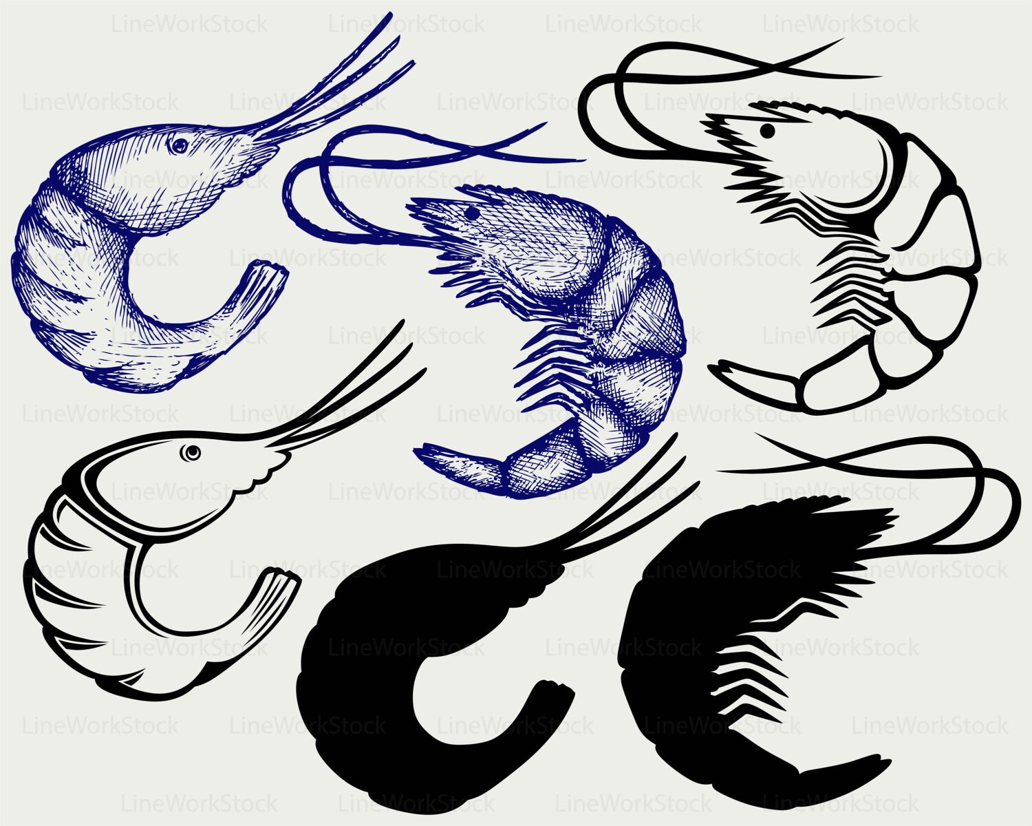 Cooked Shrimp Clipart