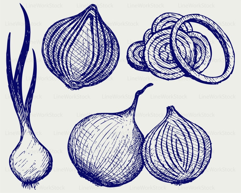 Onion Svg/clipart/vegetables Svg/onion Silhouette/green Onions Cricut ...