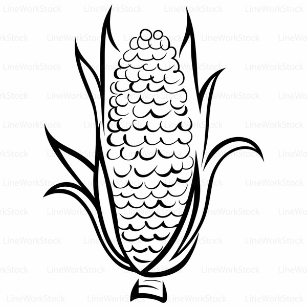 Corn Cob Svg - Etsy