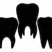 Tooth Molar Svg/tooth Molar Clipart/tooth Svg/molar Silhouette/molar ...