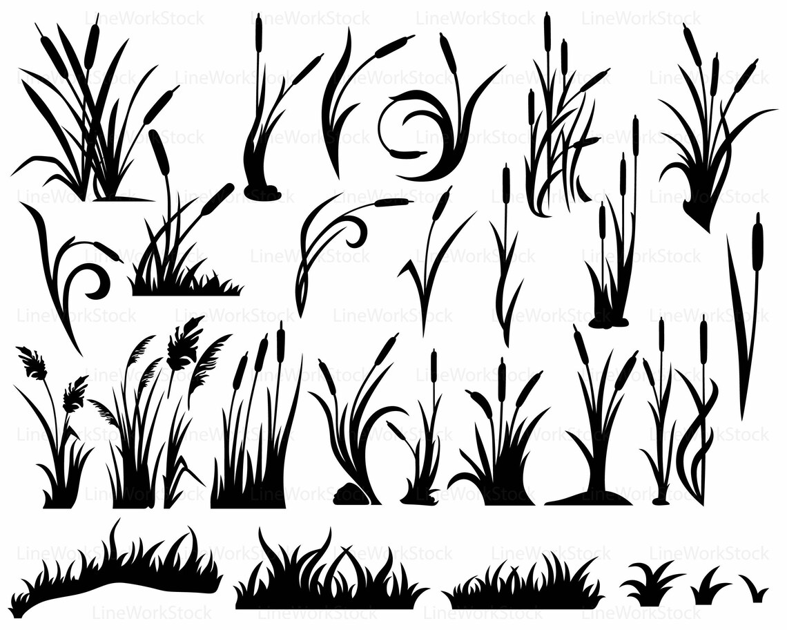 Reeds Svg/reeds Clipart/sedge Svg/reeds Silhouette/sedge - Etsy