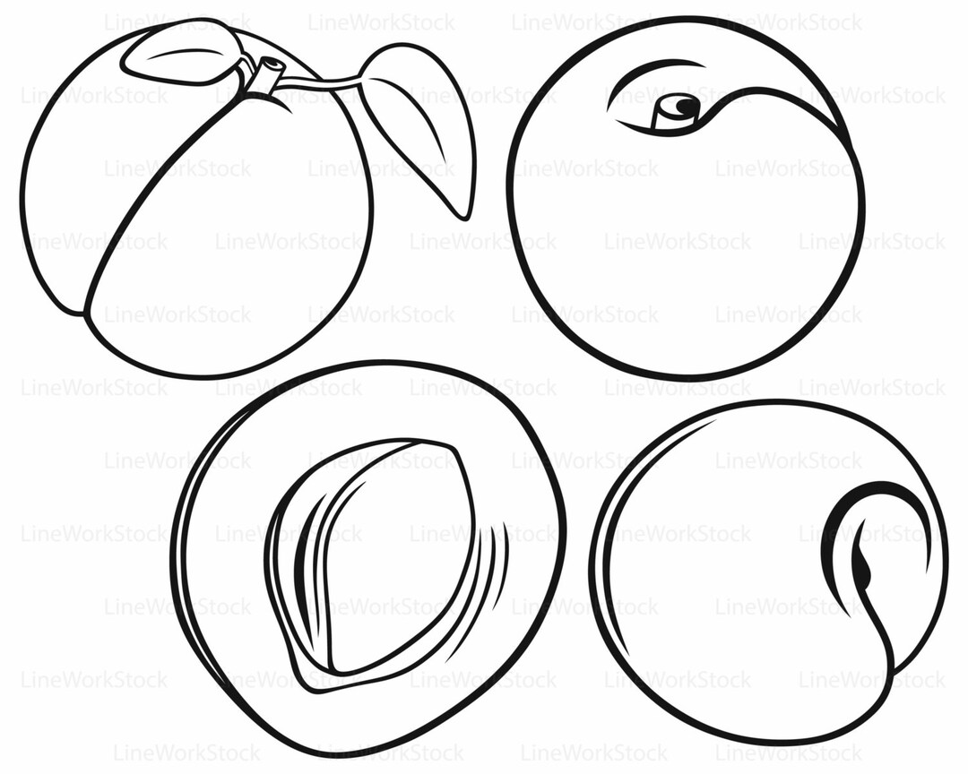 Apricot Svg/clipart/fruit Svg/apricot Silhouette/cricut Cut Files ...