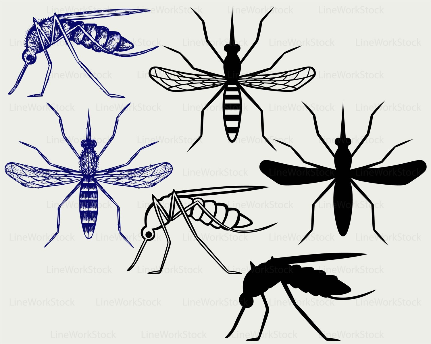 Mosquito Clipart Images