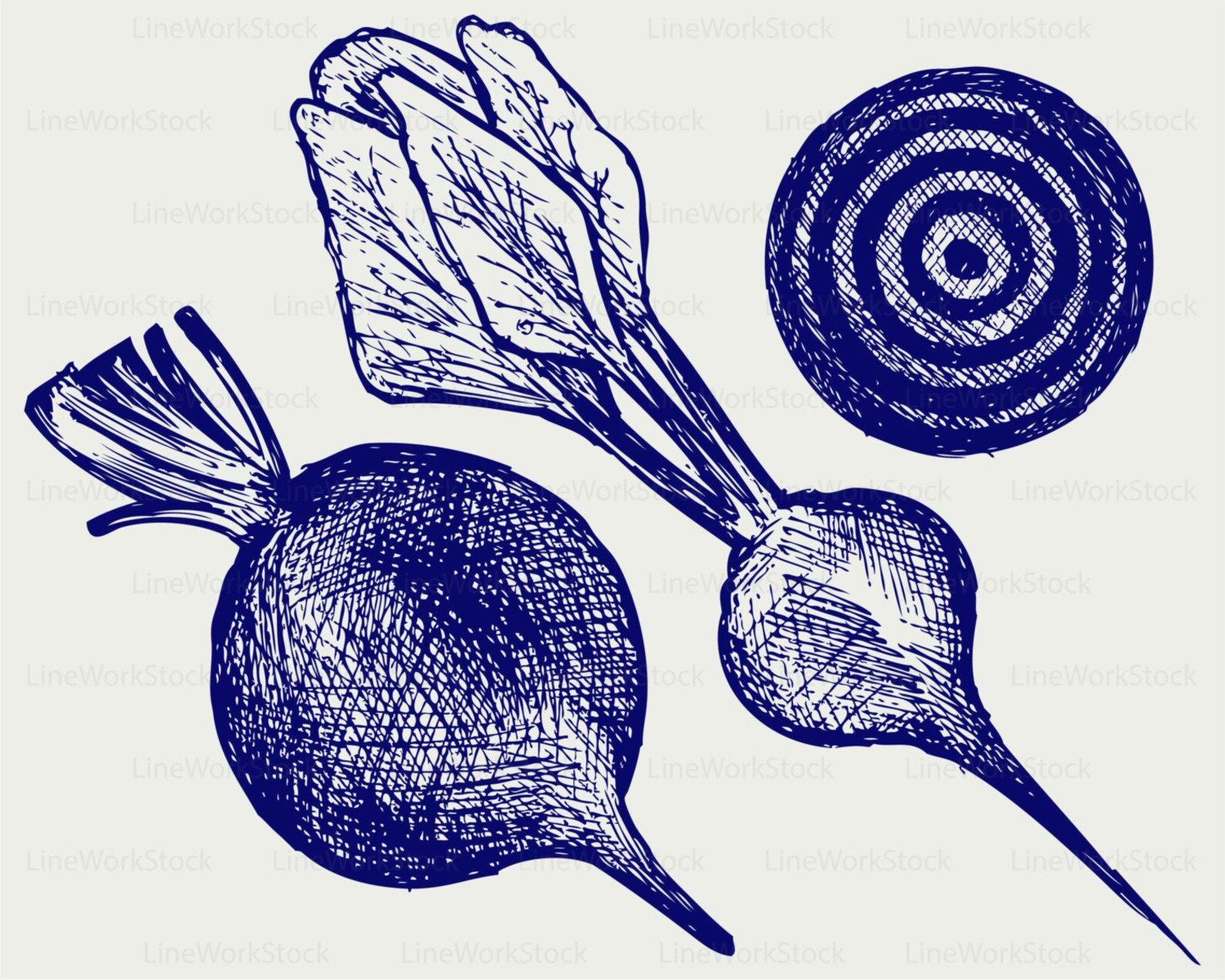 Beetroot Svg/clipart/vegetables Svg/beetroot - Etsy