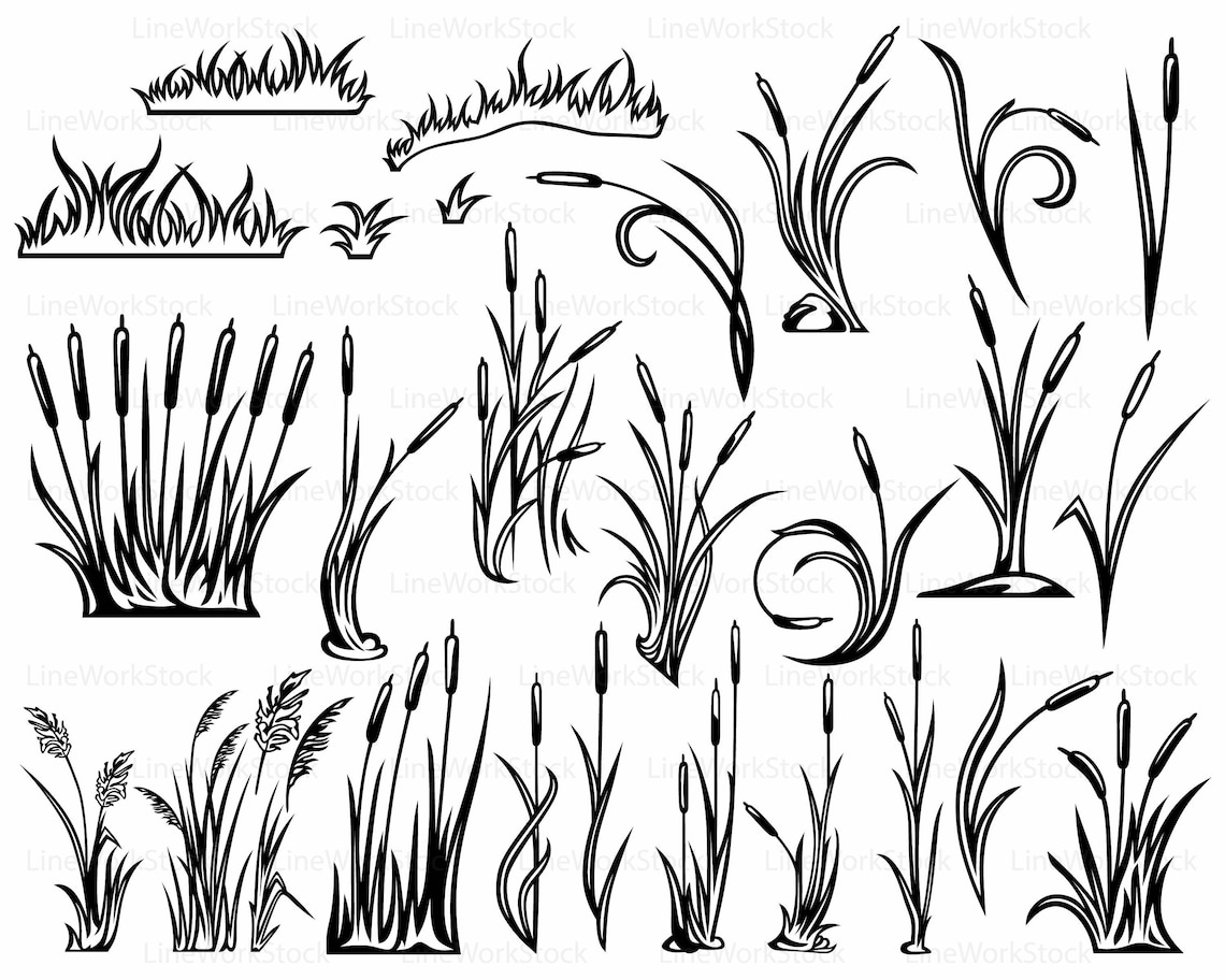 Reeds Svg Reeds Clipart Sedge Svg Reeds Silhouette Sedge Etsy