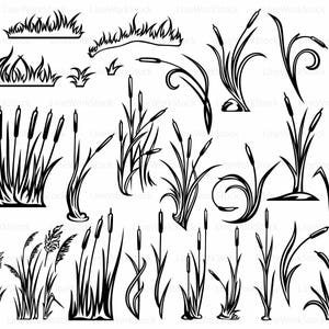 Reeds Svg/reeds Clipart/sedge Svg/reeds Silhouette/sedge Cricut/reeds ...