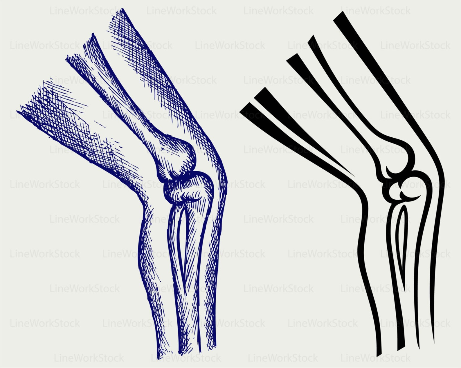 Leg Svgleg Cliparthuman Leg Svgleg Bones Silhouetteleg - Etsy