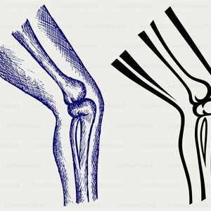 Leg Svgleg Cliparthuman Leg Svgleg Bones Silhouetteleg - Etsy