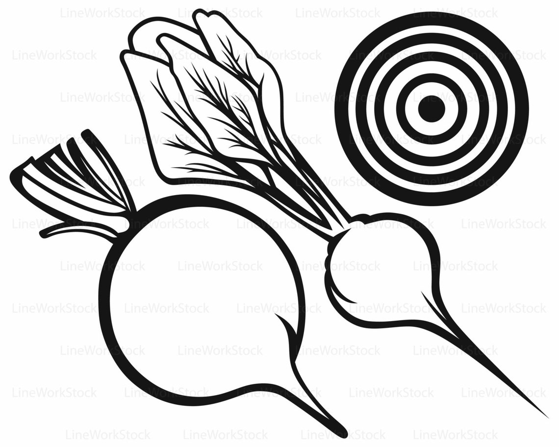 Beetroot Svg/clipart/vegetables Svg/beetroot | Etsy