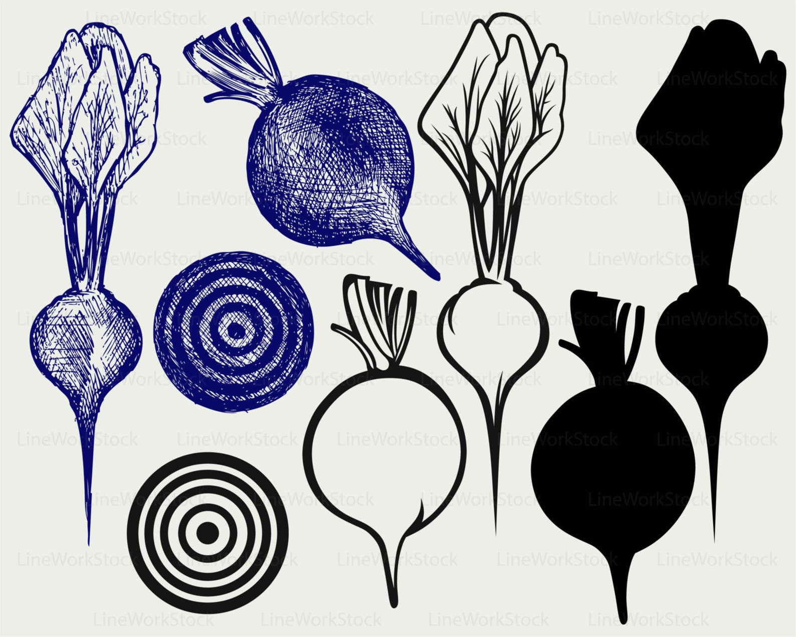 Beetroot Svg/clipart/vegetables Svg/beetroot - Etsy