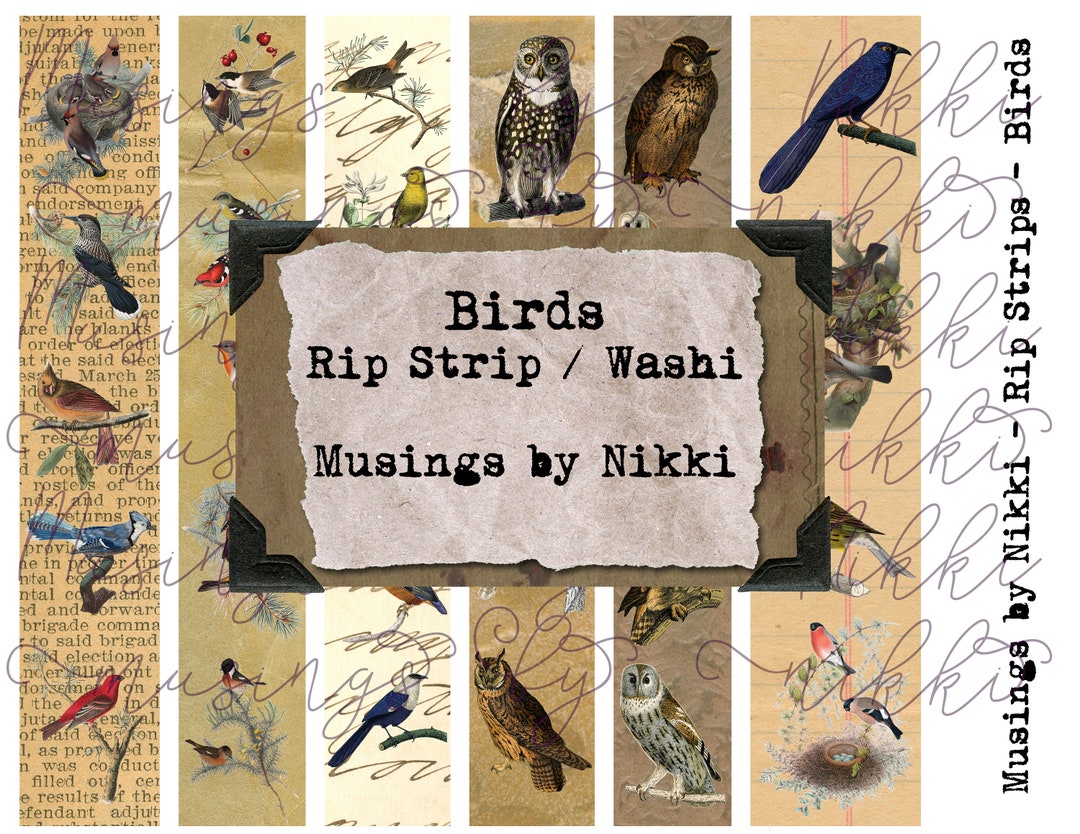 Birds Rip Strip - Washi Tape - Digital Ephemera - Etsy