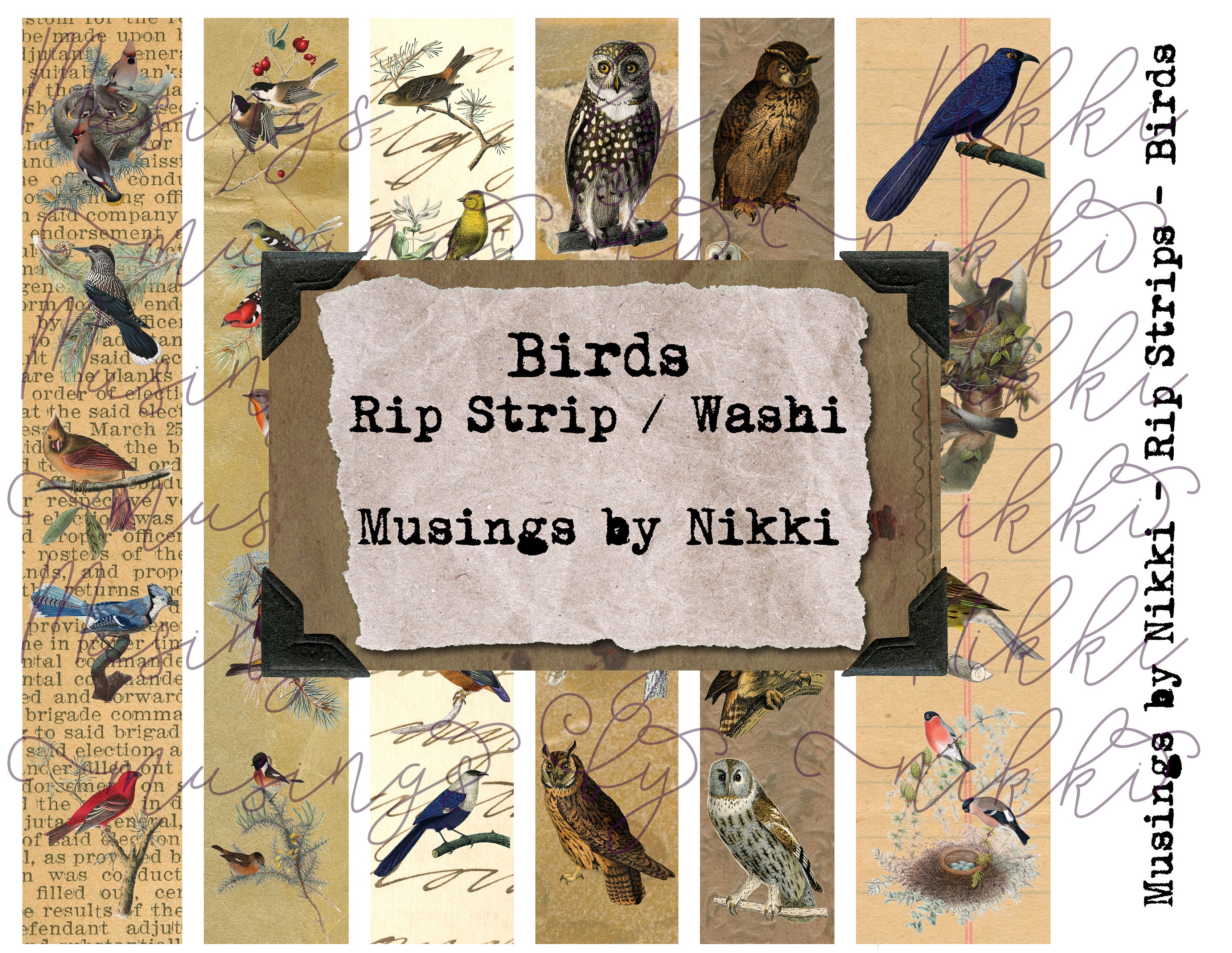 Birds Rip Strip - Washi Tape - Digital Ephemera - Etsy