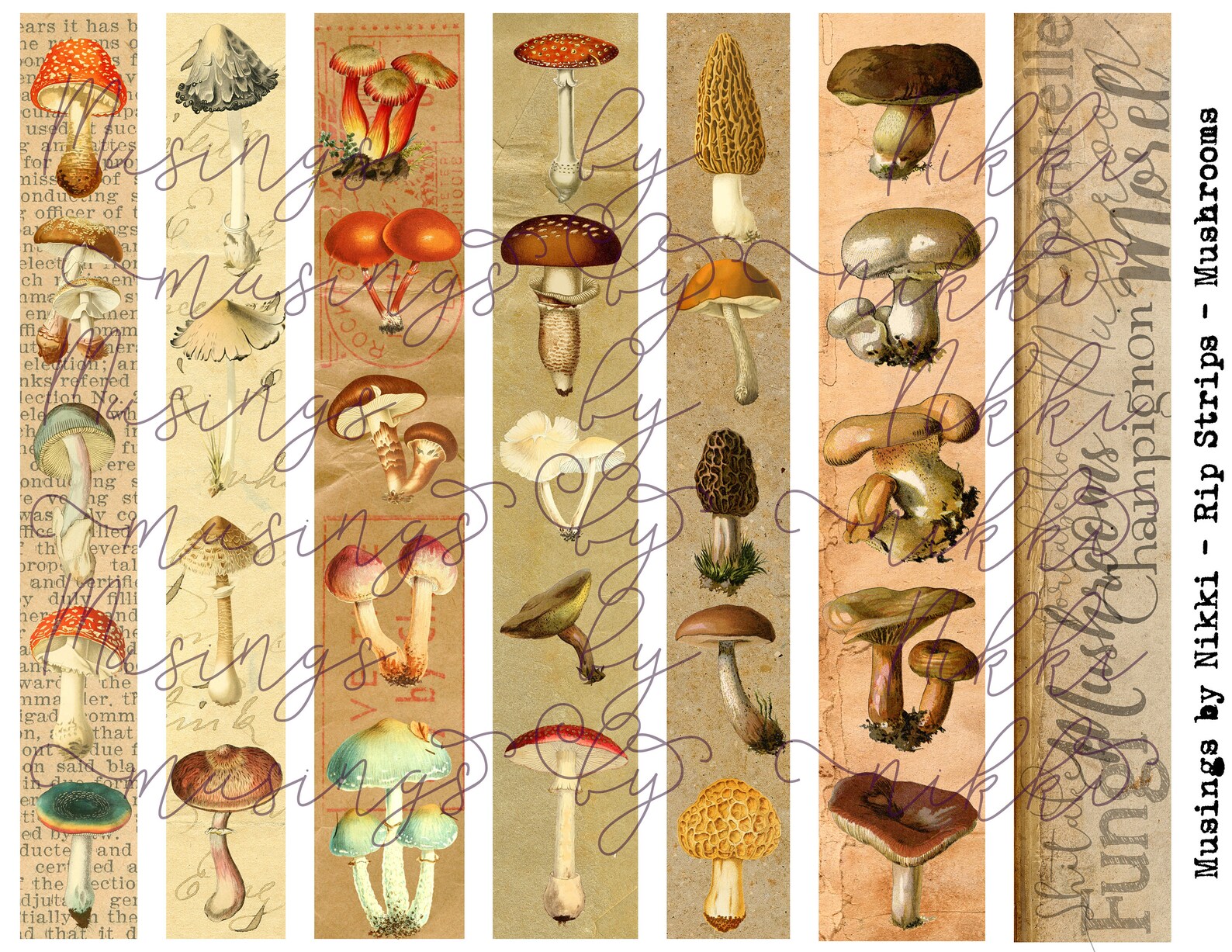 Mushrooms Rip Strip - Washi Tape - Digital Ephemera - Etsy