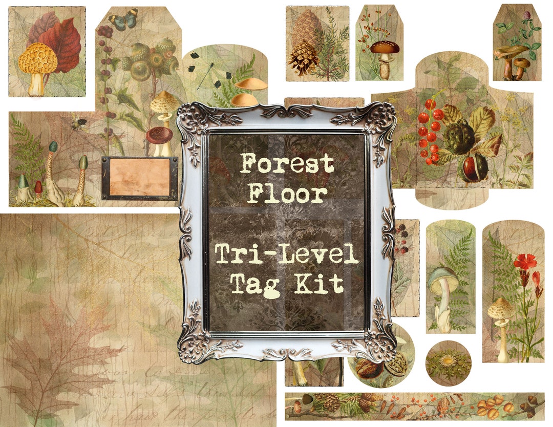 Forest Floor Tri-level Tag Digital Kit - Ephemera, Mushrooms, Ferns ...