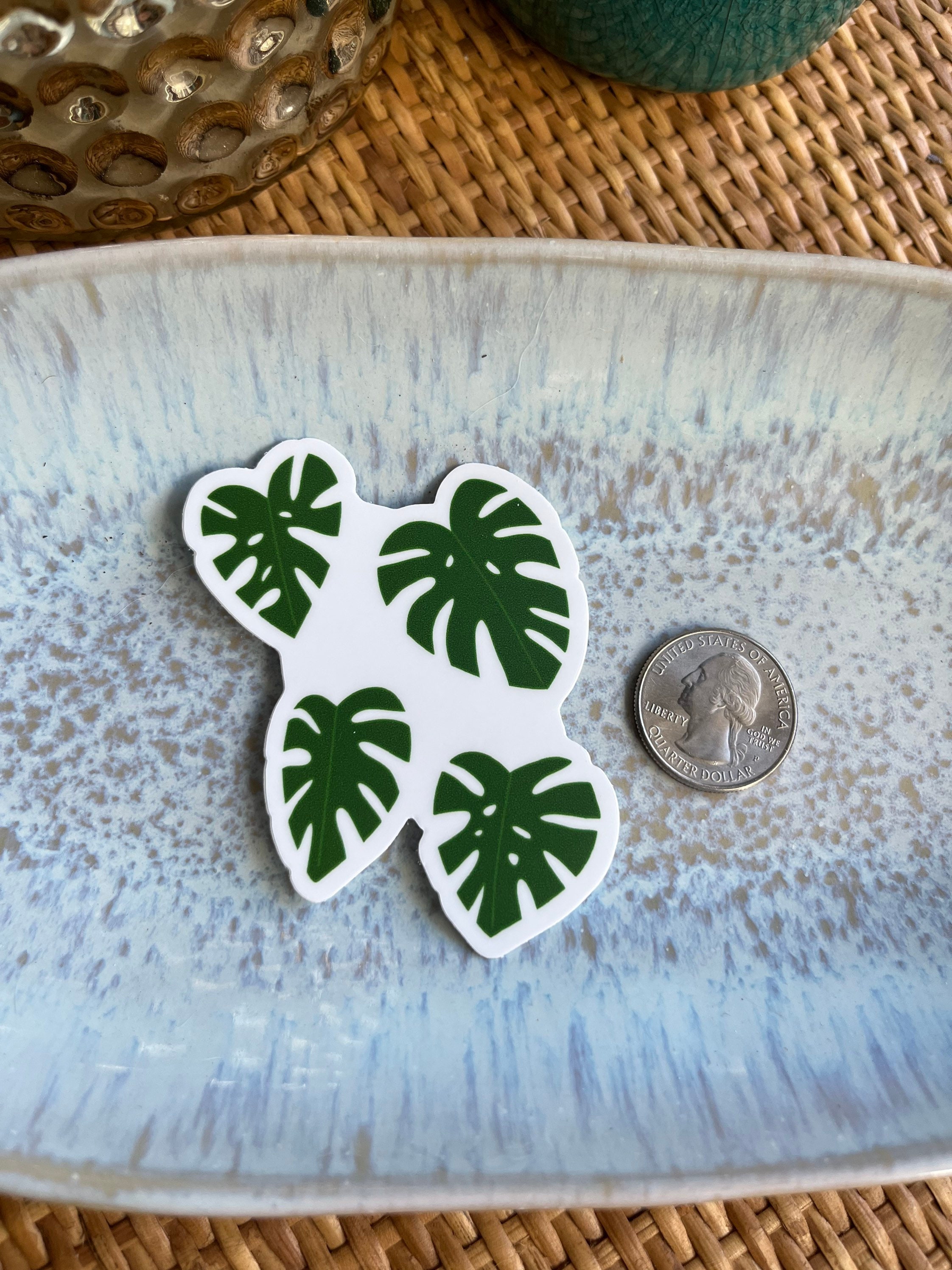 Monstera Leaves Sticker - Etsy
