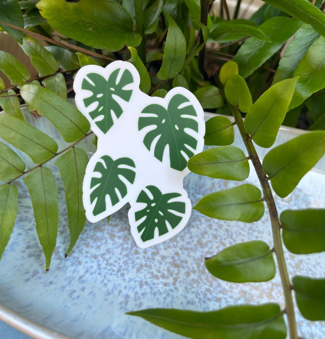 Monstera Leaves Sticker - Etsy