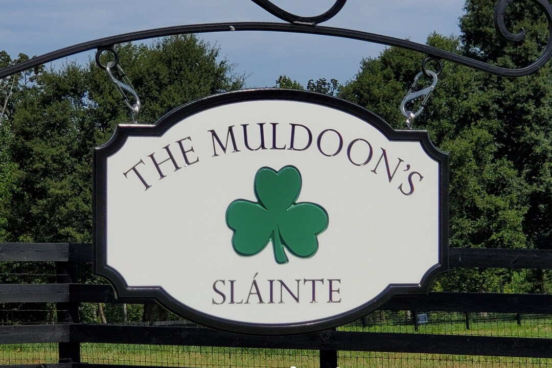 Sláinte Outdoor Shamrock House Sign Family Welcome Driveway - Etsy