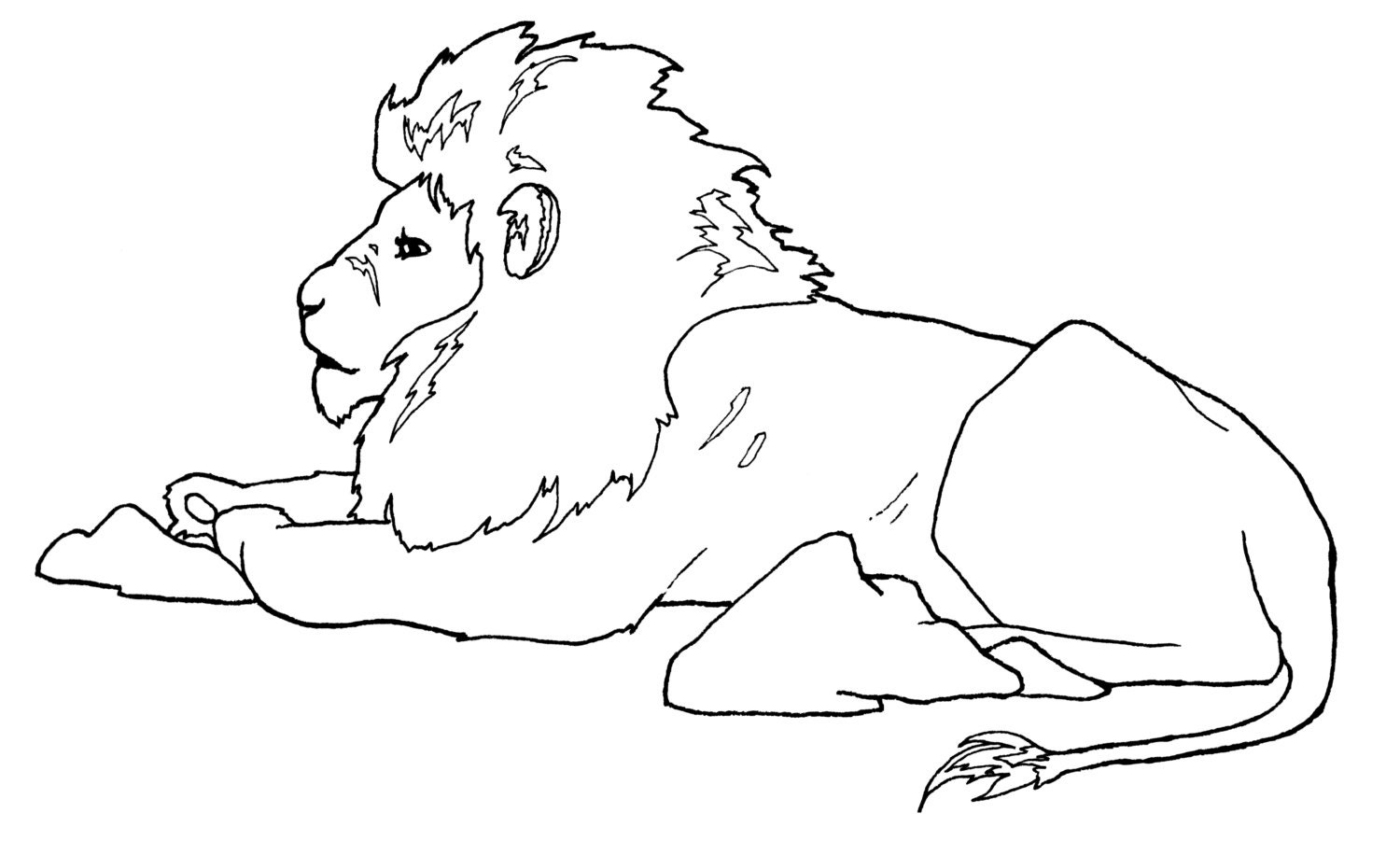 DIGITAL DOWNLOAD Zoo Animal Adult Coloring Book Pages, Wild Animal ...