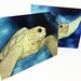 Sea Turtle Note Cards, Ocean Themed Stationery Present, Nautical Gift ...