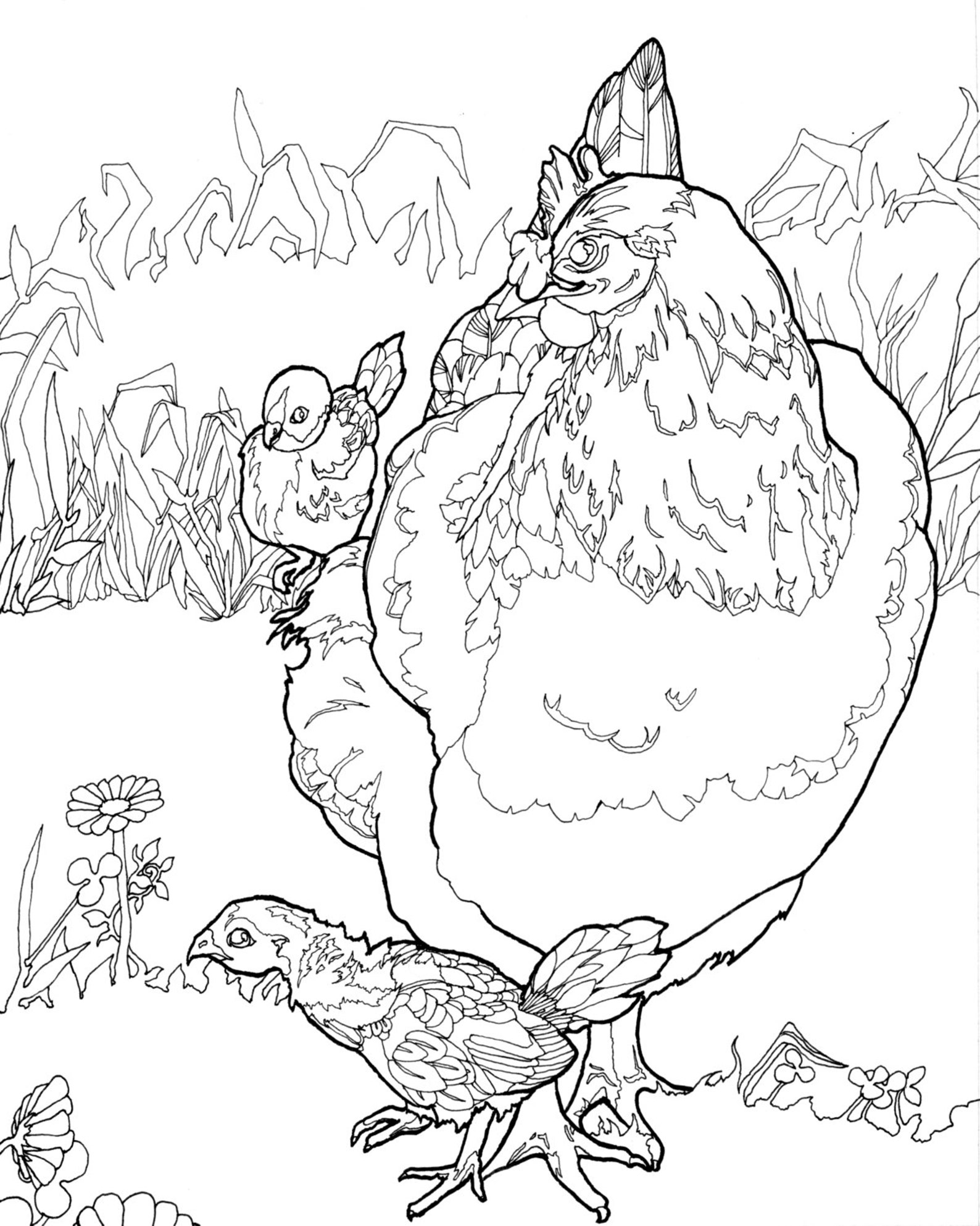 DIGITAL DOWNLOAD Chicken Coloring Pages, Adult Coloring Pages Chicken ...