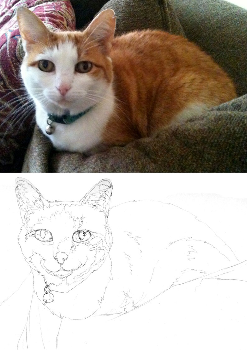 Pet Portrait Drawing, Pet Memorial Graphite Illustration, Custom Pet ...
