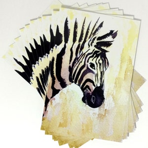 Painted Zebra Cards, Watercolor Zebra Stationery, Baby Zebra Postcards ...