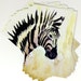 Painted Zebra Cards, Watercolor Zebra Stationery, Baby Zebra Postcards ...