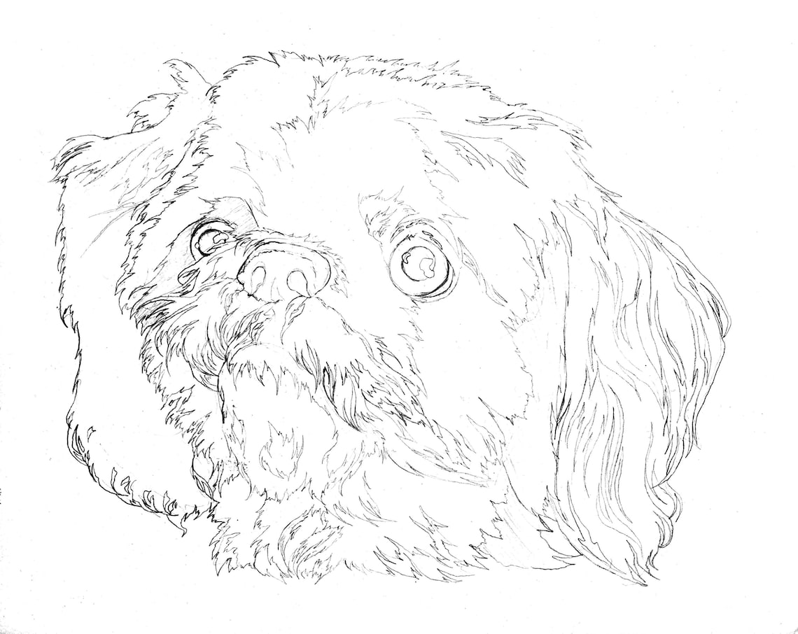 Pet Portrait Drawing Pet Memorial Graphite Illustration | Etsy