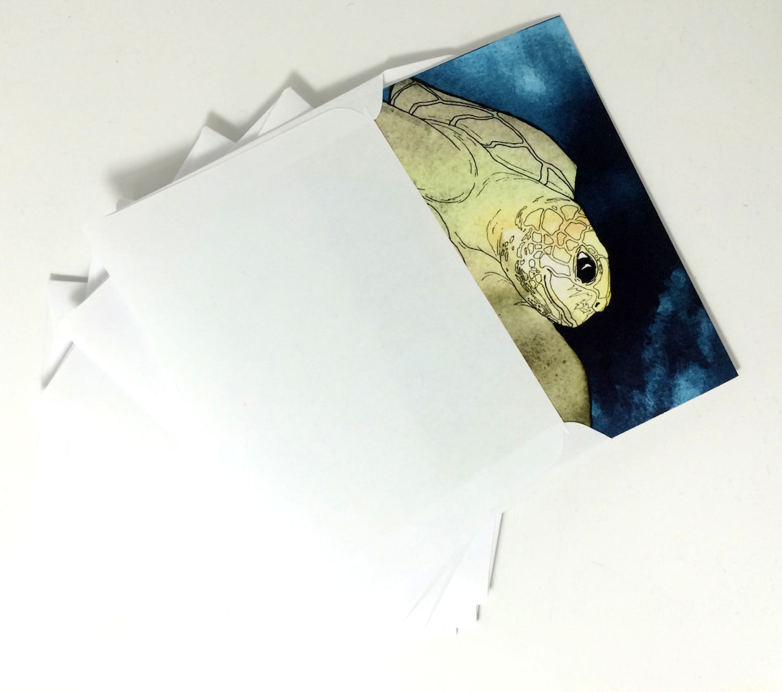 Sea Turtle Note Cards Ocean Themed Stationery Present - Etsy