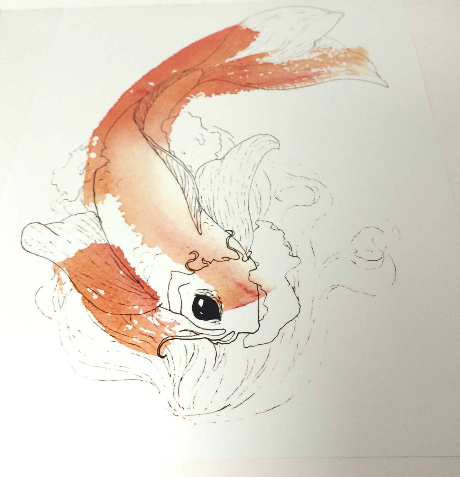 Printmaking koi fish designs for students - rytehi