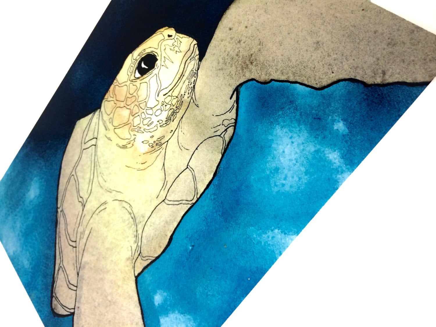 Sea Turtle Art Beach Themed Wall Art Beach House Decor - Etsy