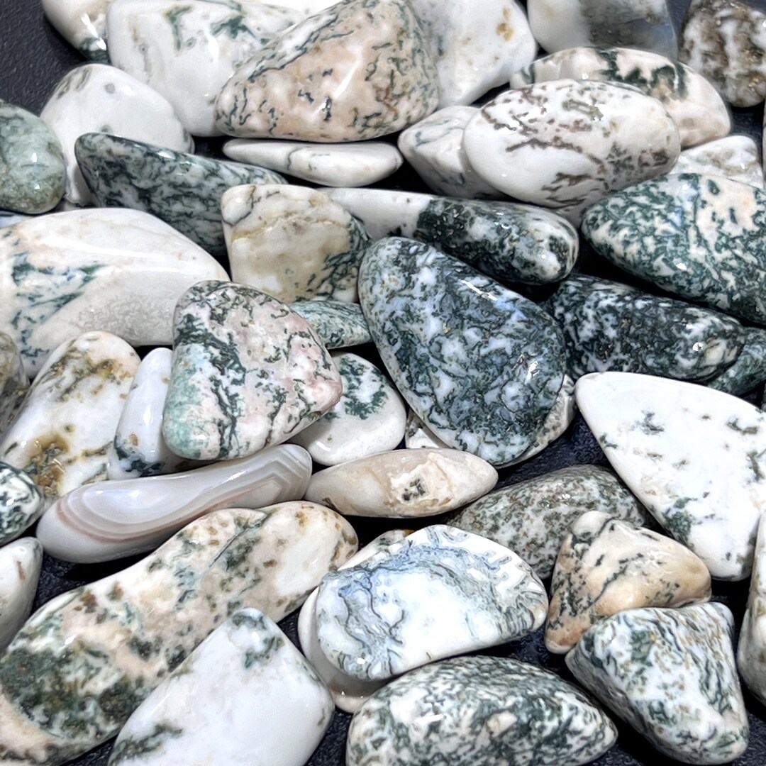 Tree Agate Tumbled 1 LB One Pound Bulk Wholesale Lot Polished Gemstones ...