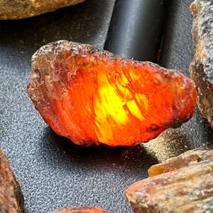 Black Amber Fossilized Tree Resin Mixed Sizes Rough Raw Stones (by the ...