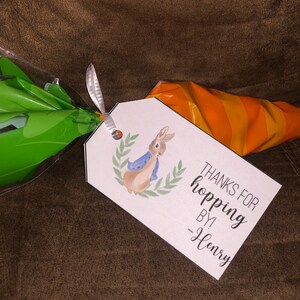 Peter Rabbit Birthday Favor Tags Printable Favor Tags Peter Rabbit ...