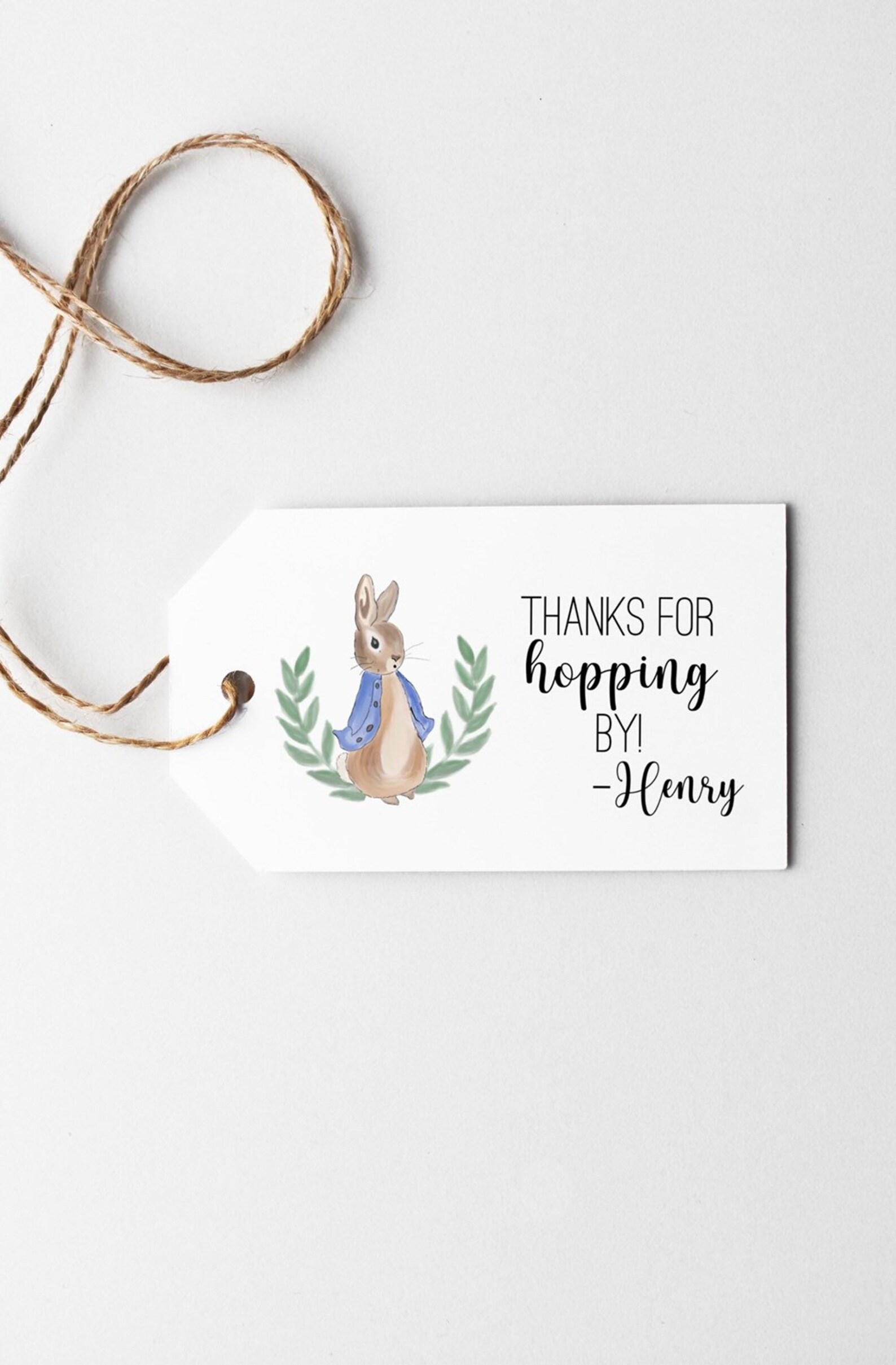 Peter Rabbit Birthday Favor Tags Printable Favor Tags | Etsy