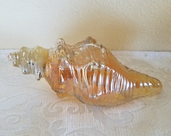 Conch shell art | Etsy