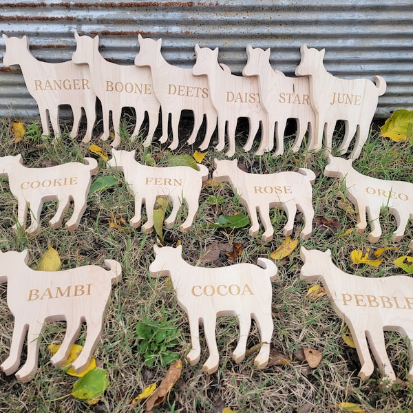 Livestock Goat Show Pen Signs - Etsy