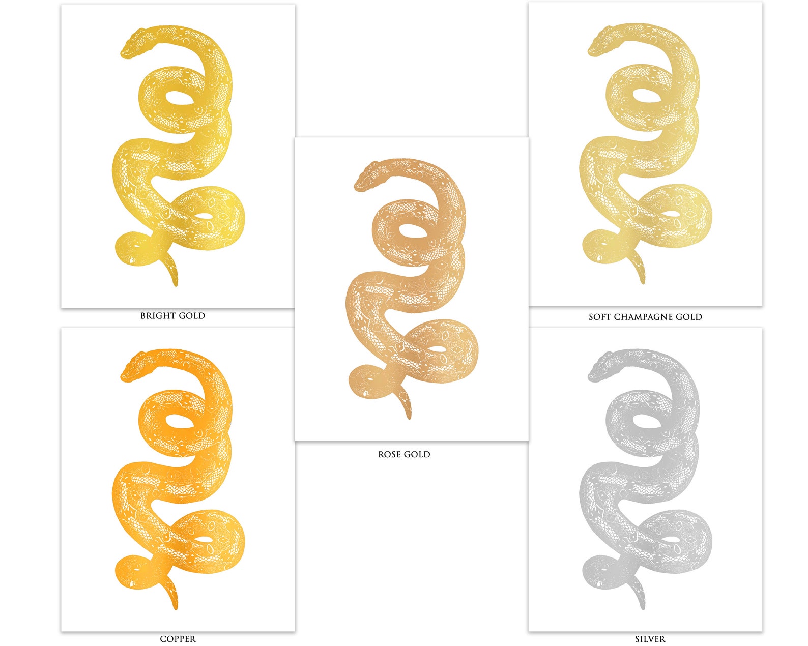 Snake Art Gold Foil Print Ball Python Animal Prints Oddity - Etsy