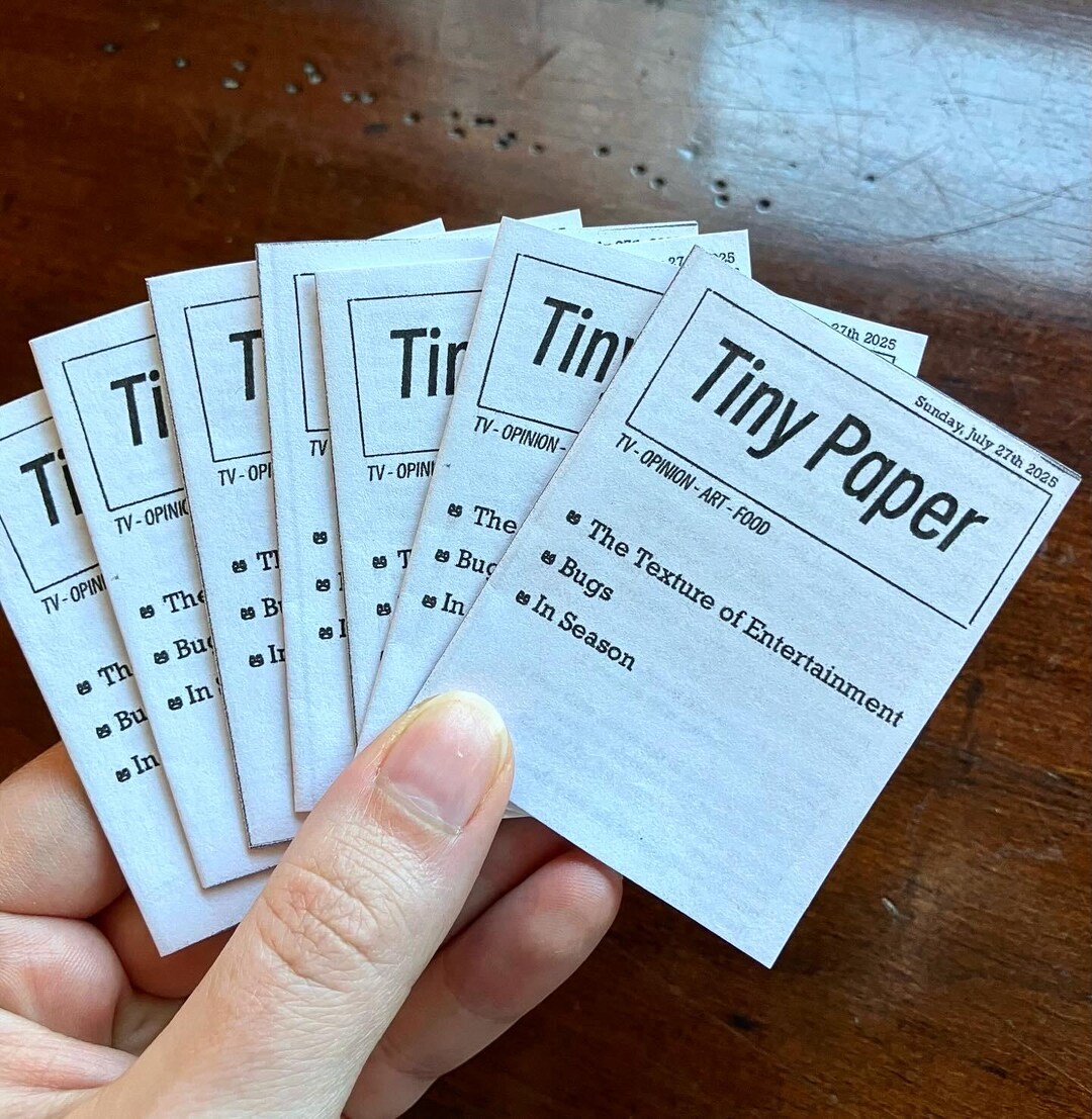 Tiny Newspaper Zine, Artist Magazine Booklet, Miniature Reading ...