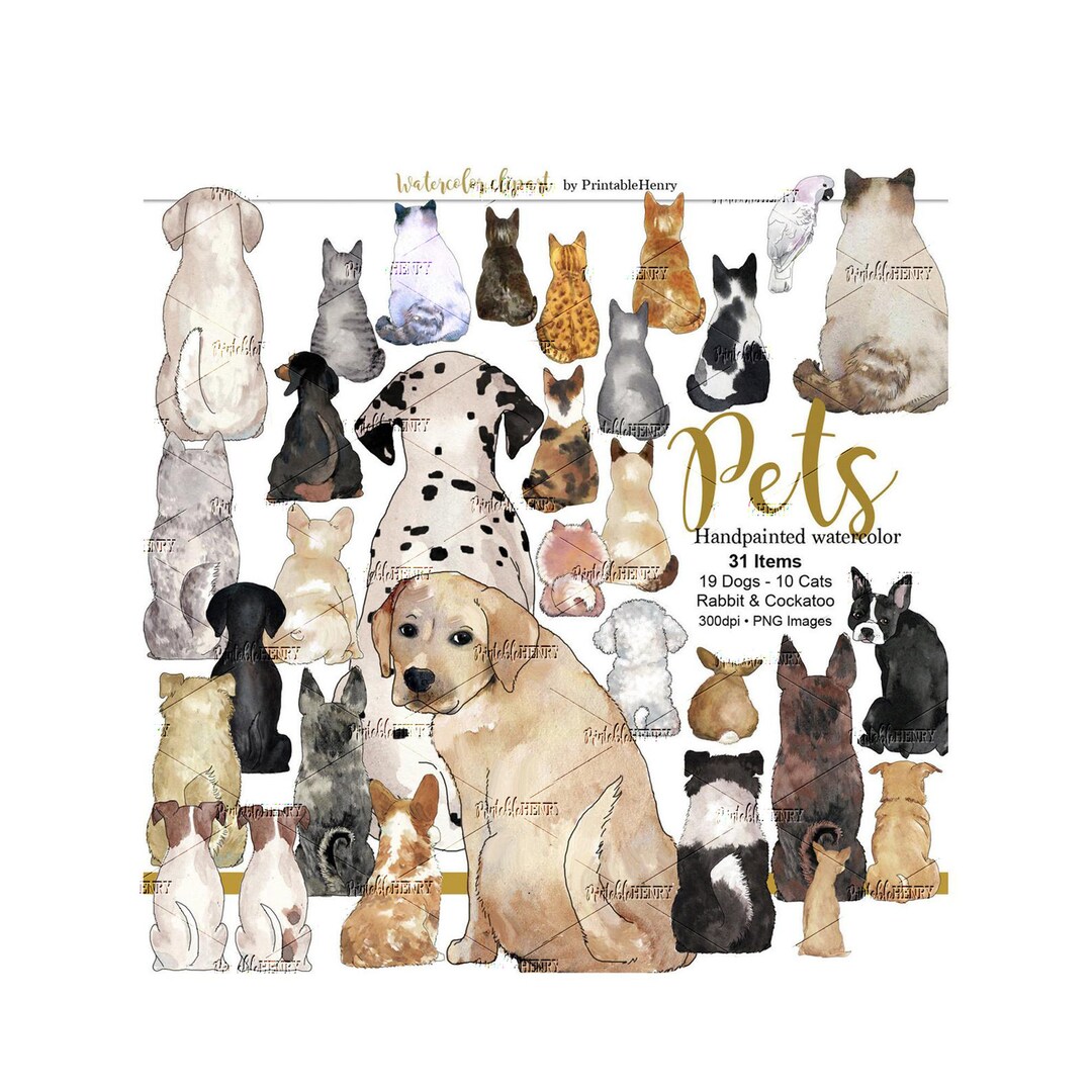 Watercolor Pets Clipart: Dogs, Cats, Rabbit (digital Download) - Etsy