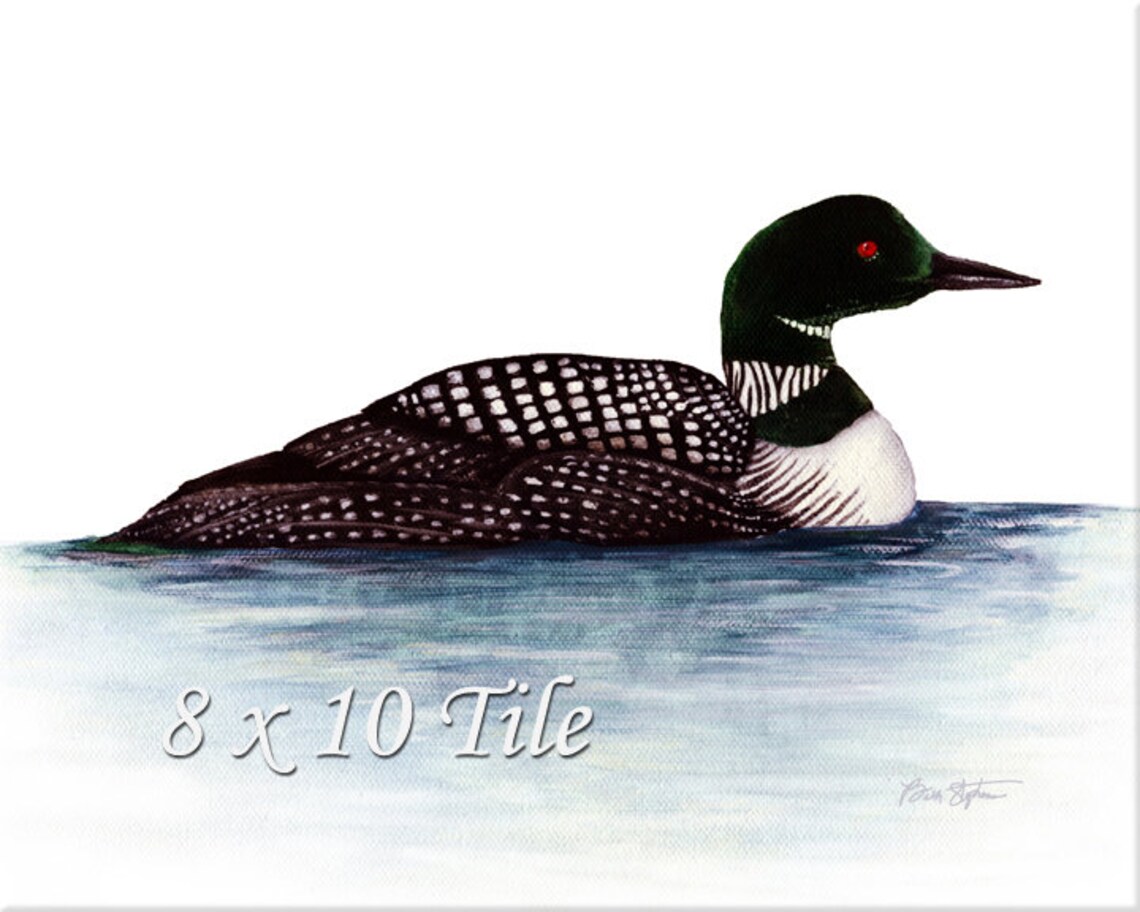 Loon Ceramic Tile Loon Art Print on Tiles Loon Magnet Loon - Etsy