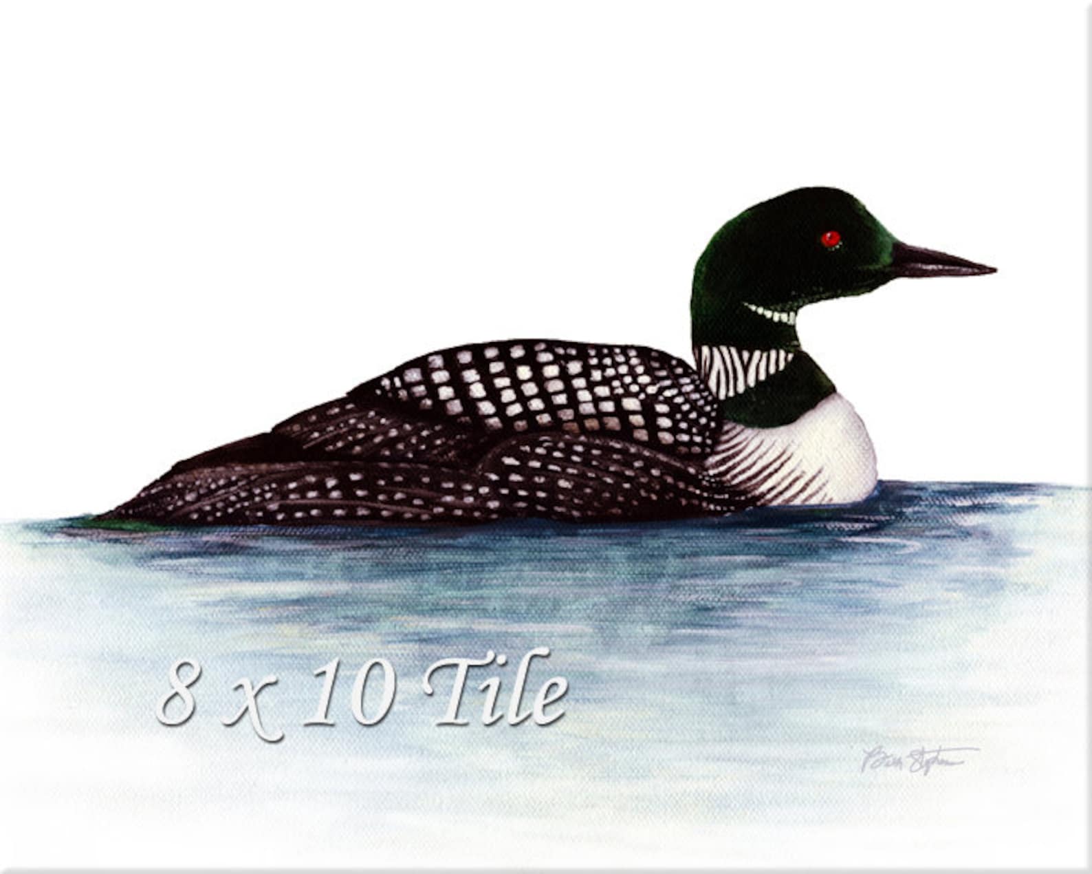 Loon Ceramic Tile, Loon Art Print on Tiles, Loon Magnet, Loon Coaster ...