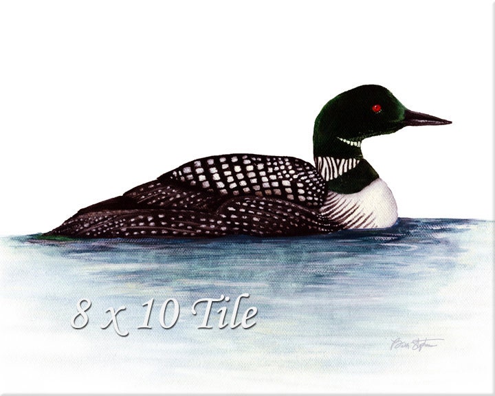 Loon Ceramic Tile Loon Art Print on Tiles Loon Magnet Loon - Etsy