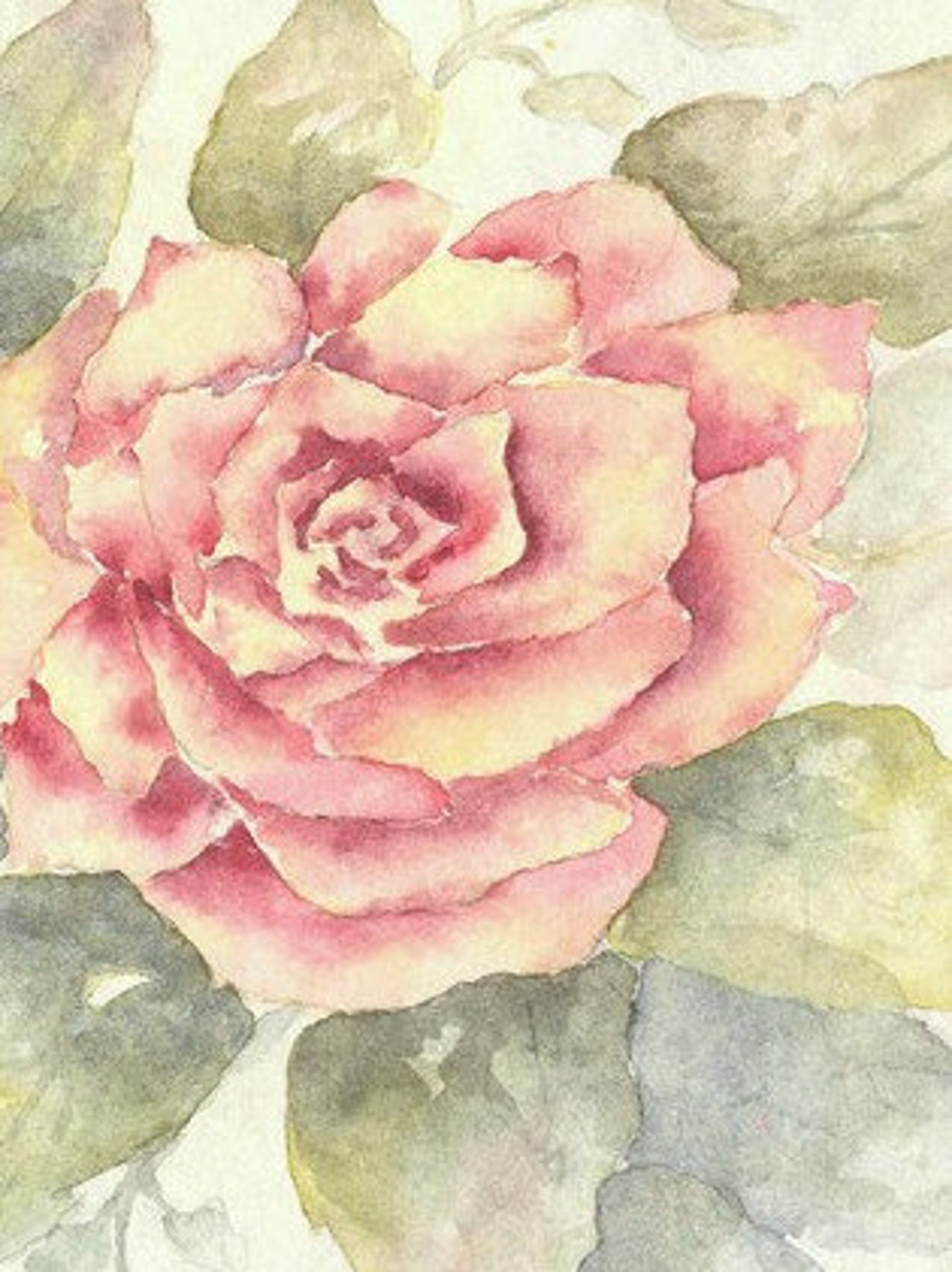 Pink Roses Painting. Watercolor Print Matted Art Print in | Etsy